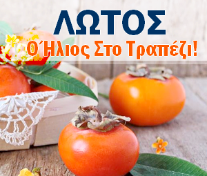 ΛΩΤΟΣ - Λόγοι Να Τρώτε Κάθε Μέρα! - Ακαδημία Υγείας